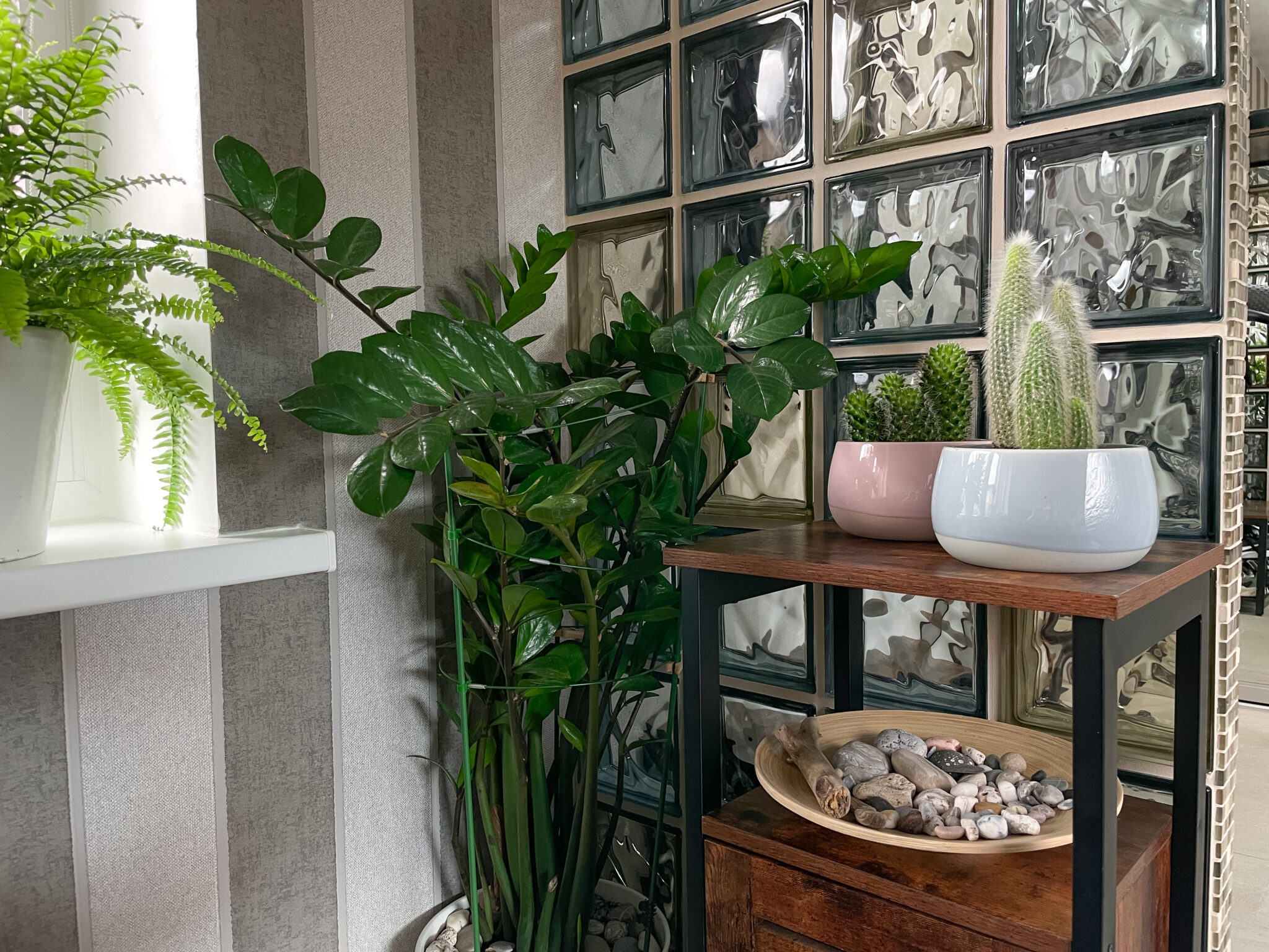 How to Display Indoor Plants Like a Pro - My indoor garden.