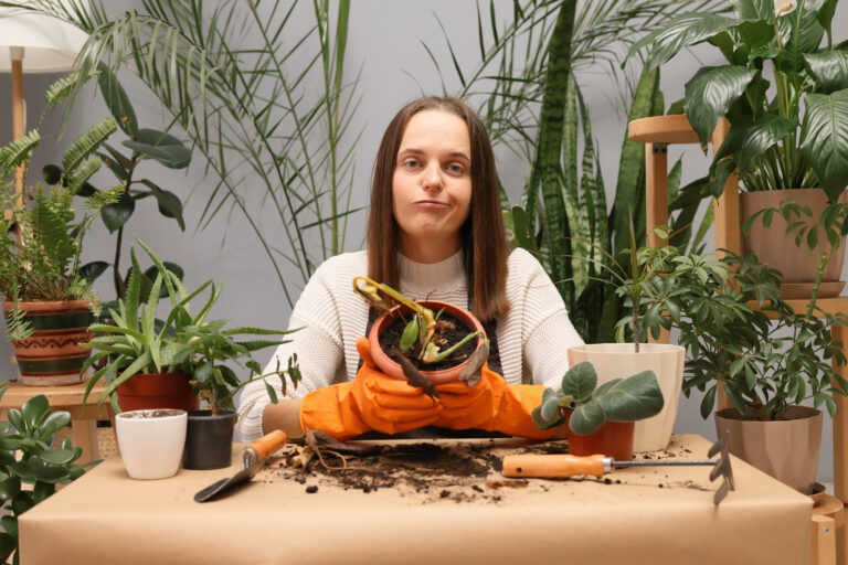 Tips for Potting Indoor Plants: What You Need to Know - My indoor garden.